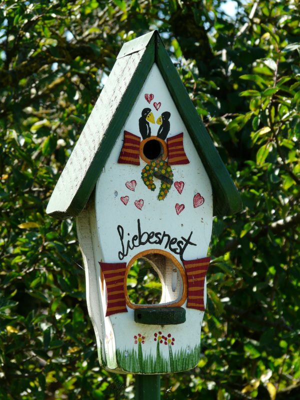 Tout savoir sur les nichoirs (version longue) – biodiversité – Colocaterre